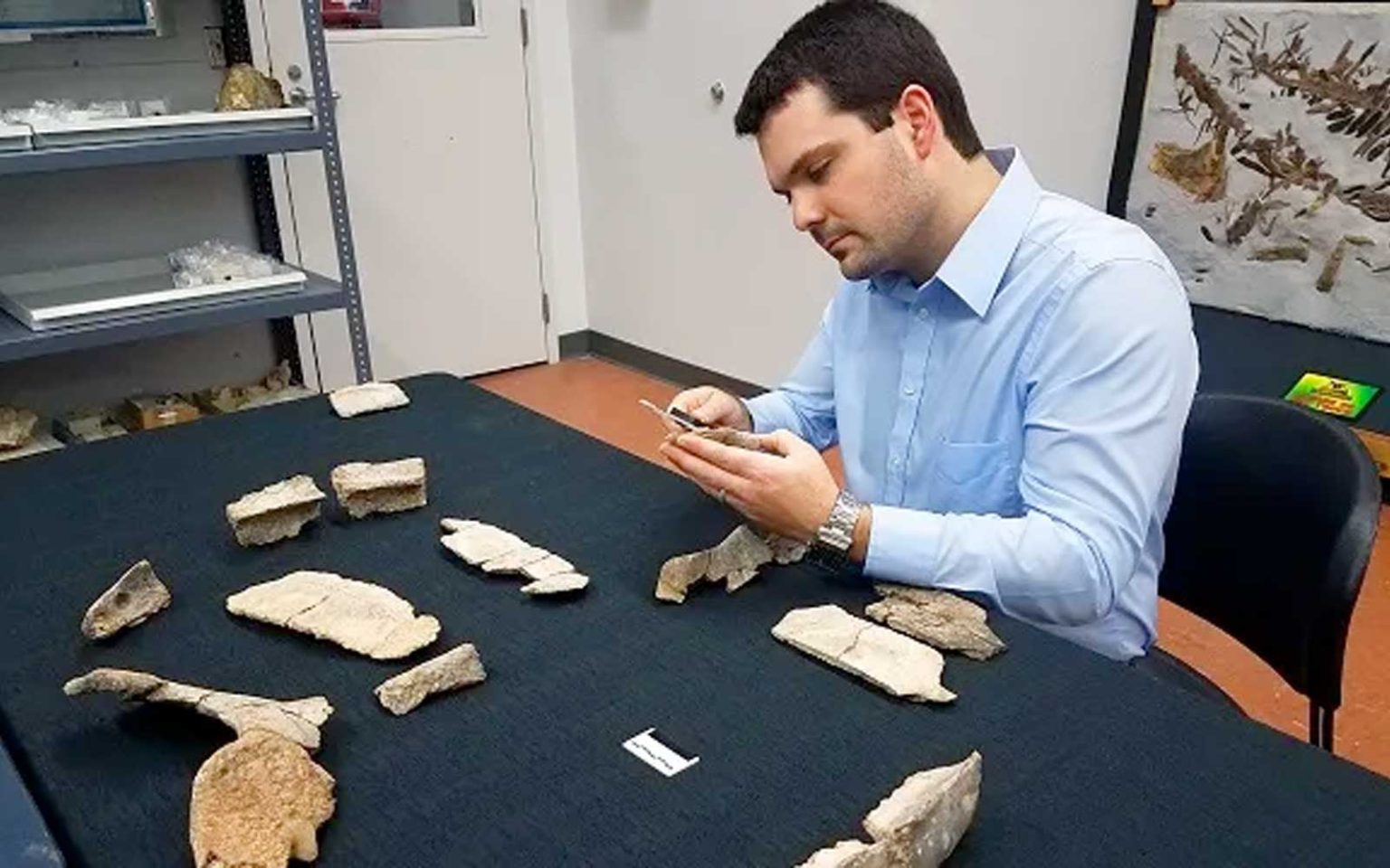 Local Scientist Helps Discover New Species