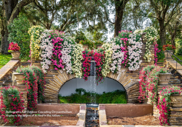 Blooming Into Its Second Century - Bay Business News